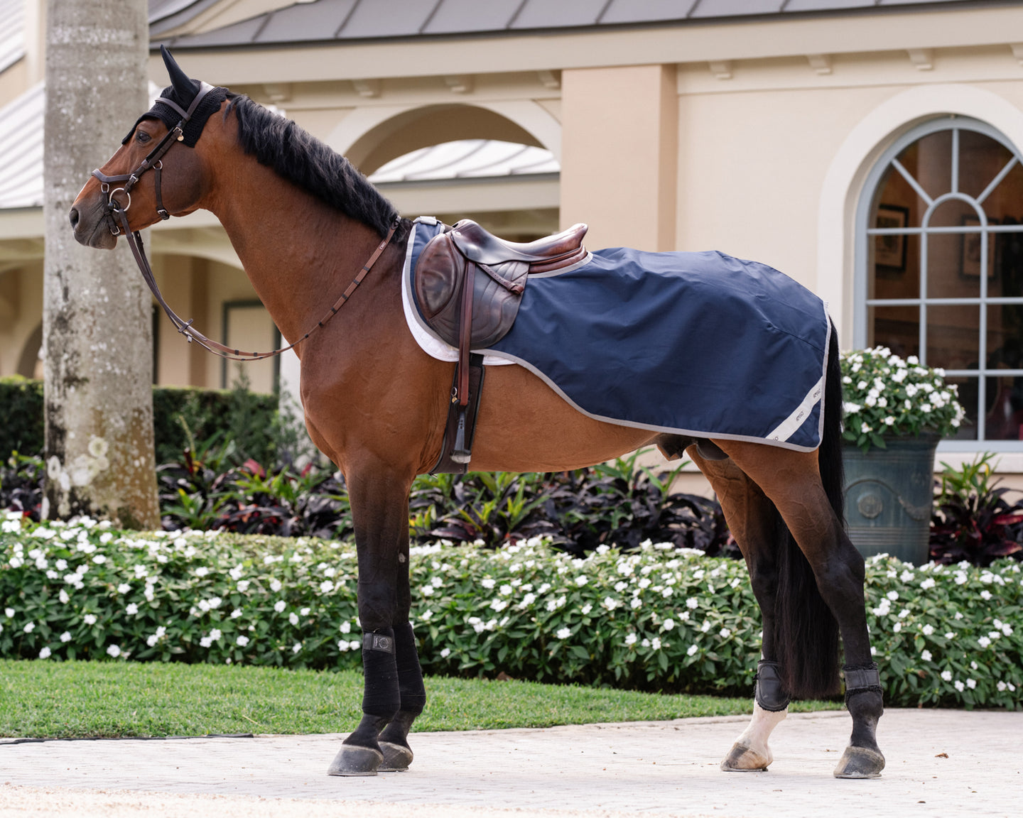 Horse Quarter Sheets, Exercise Rugs – Dover Saddlery