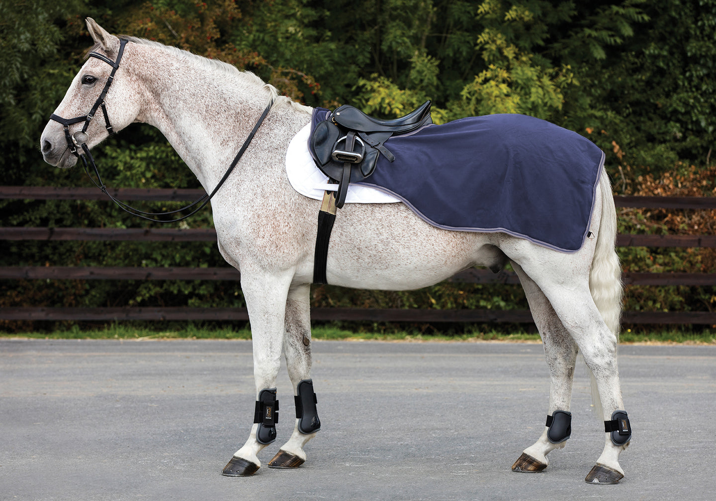 Horse Quarter Sheets, Exercise Rugs – Dover Saddlery