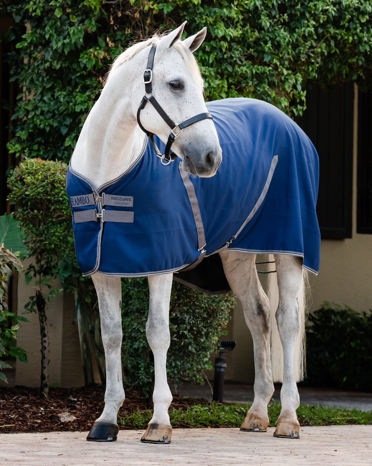 Horseware® Ireland Rambo® Stable Sheet with Embossed Lining – Dover ...