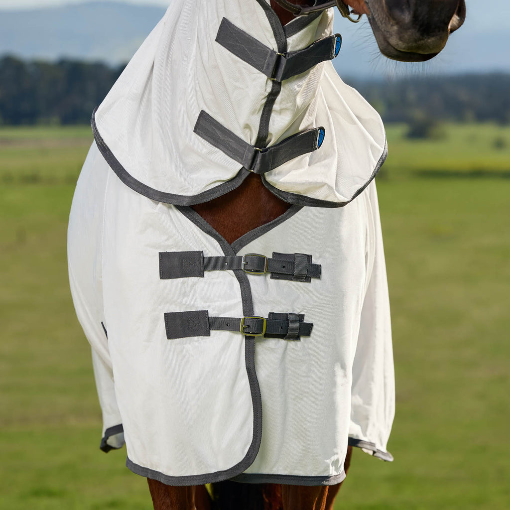 Fly Sheets for Horses – Dover Saddlery
