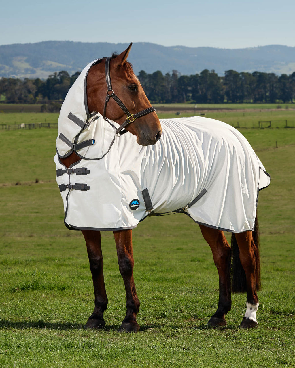 Fly Sheets for Horses – Dover Saddlery