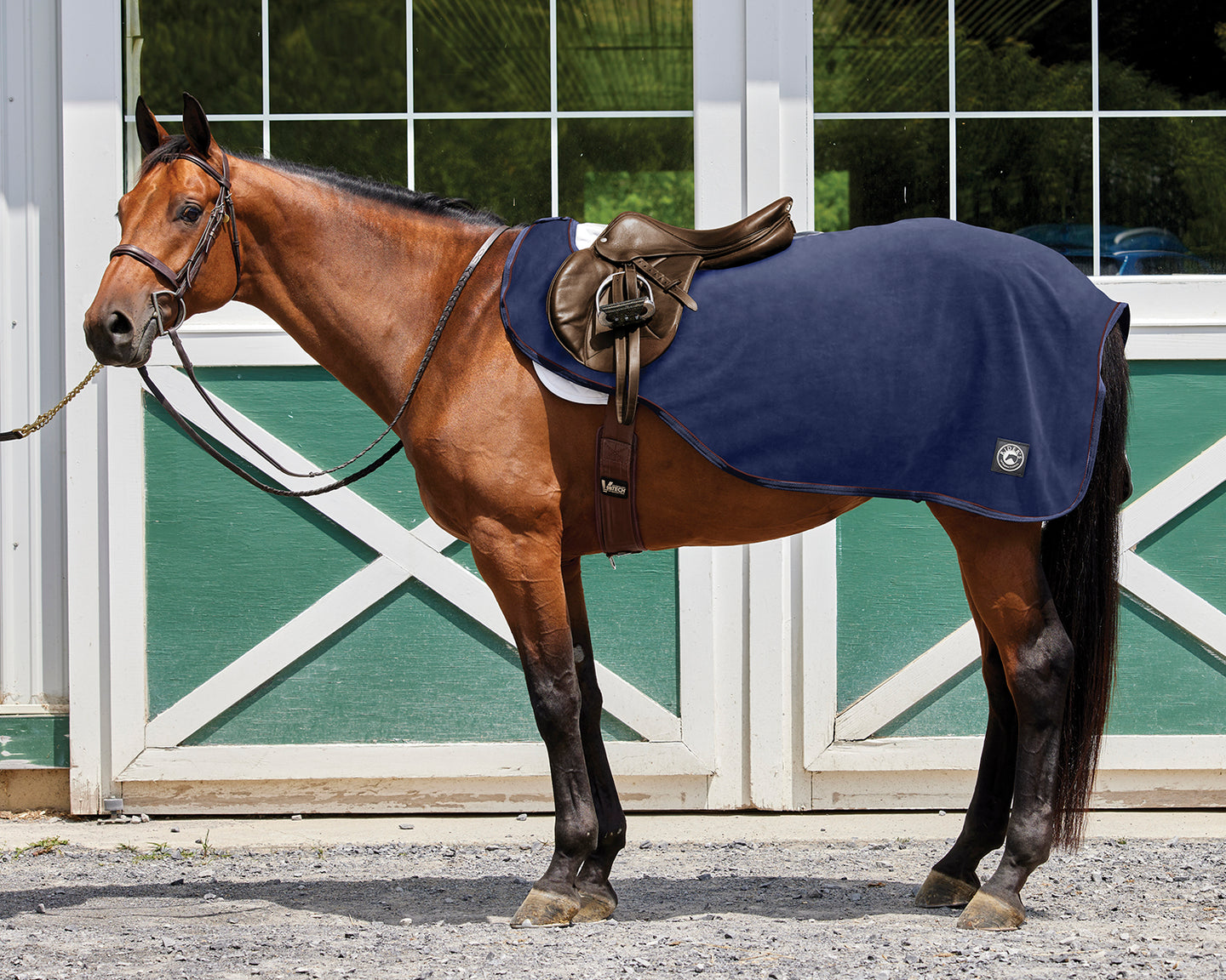 Horse Quarter Sheets, Exercise Rugs – Dover Saddlery