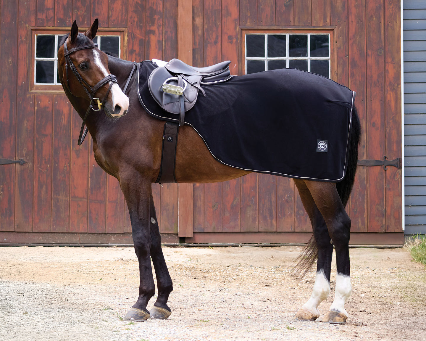 Horse Quarter Sheets, Exercise Rugs – Dover Saddlery