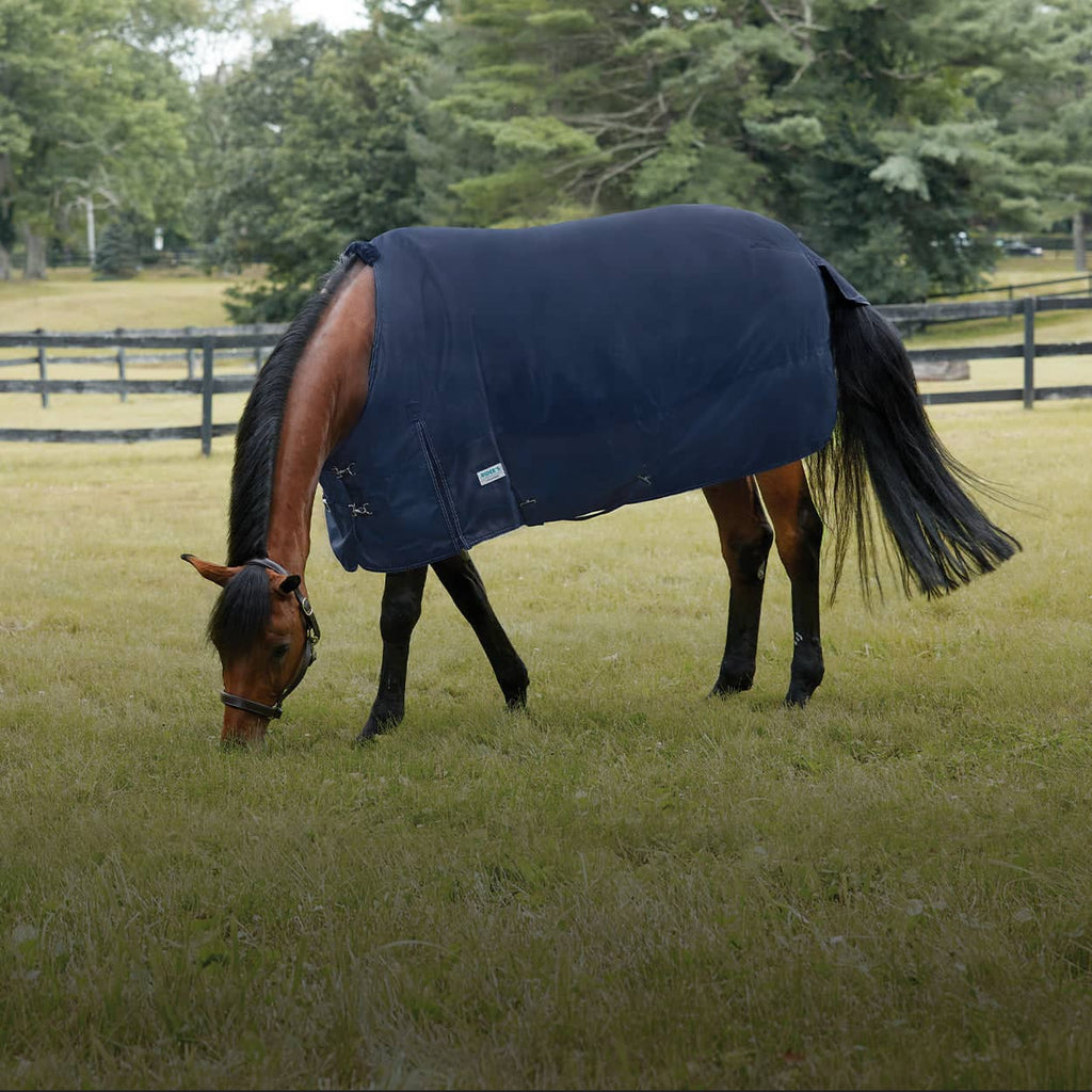 Dover Saddlery English Tack & Riding Apparel