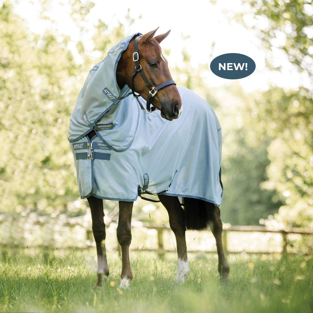 Dover Saddlery English Tack & Riding Apparel