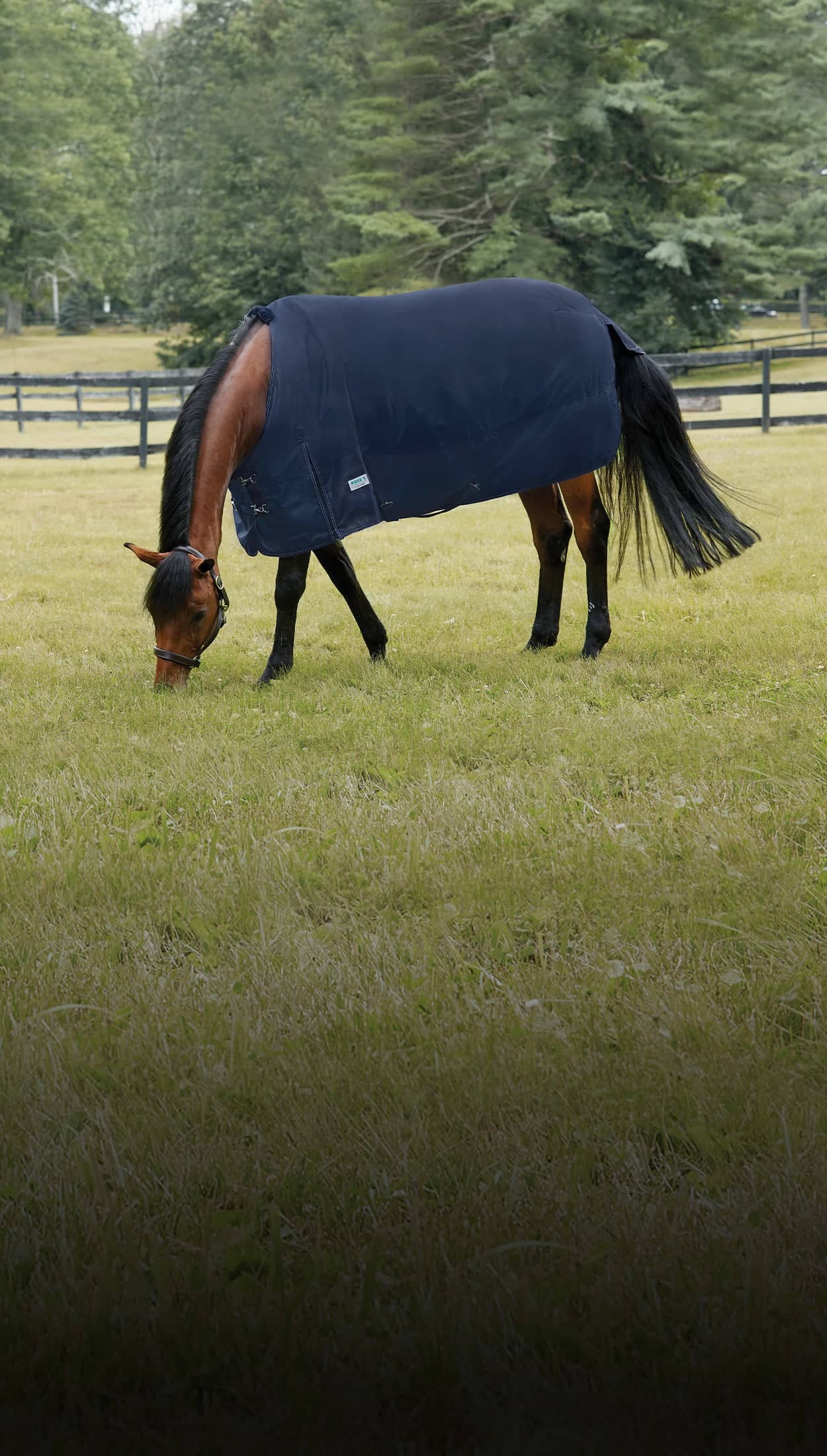 Dover Saddlery English Tack & Riding Apparel